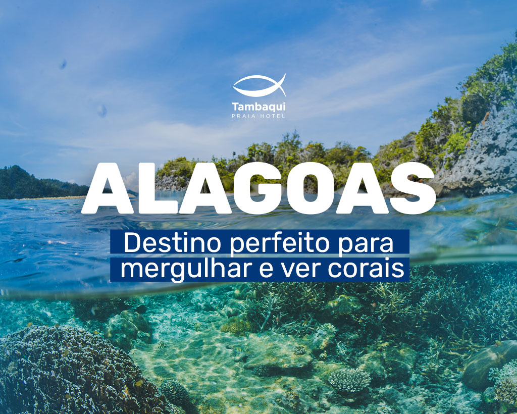 Alagoas: destino perfeito para mergulhar e ver corais - Hotel Tambaqui ...
