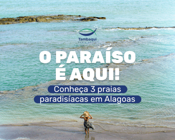 Destino dos sonhos: conheça as 3 praias paradisíacas de Alagoas ...